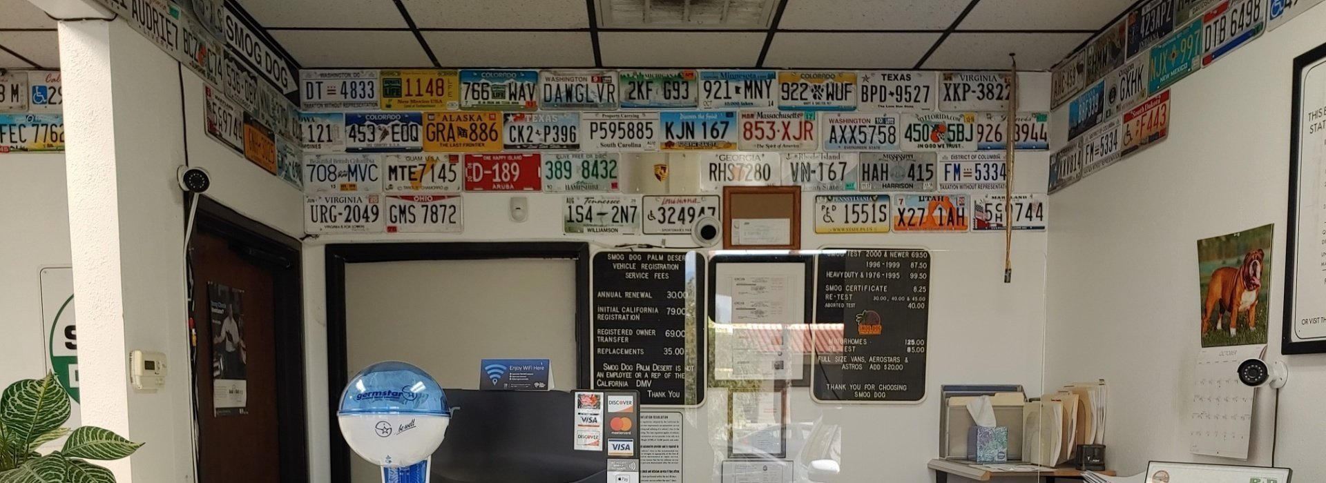 Smog Dog Palm Desert | Your One Stop Shop for Smog & DMV Services